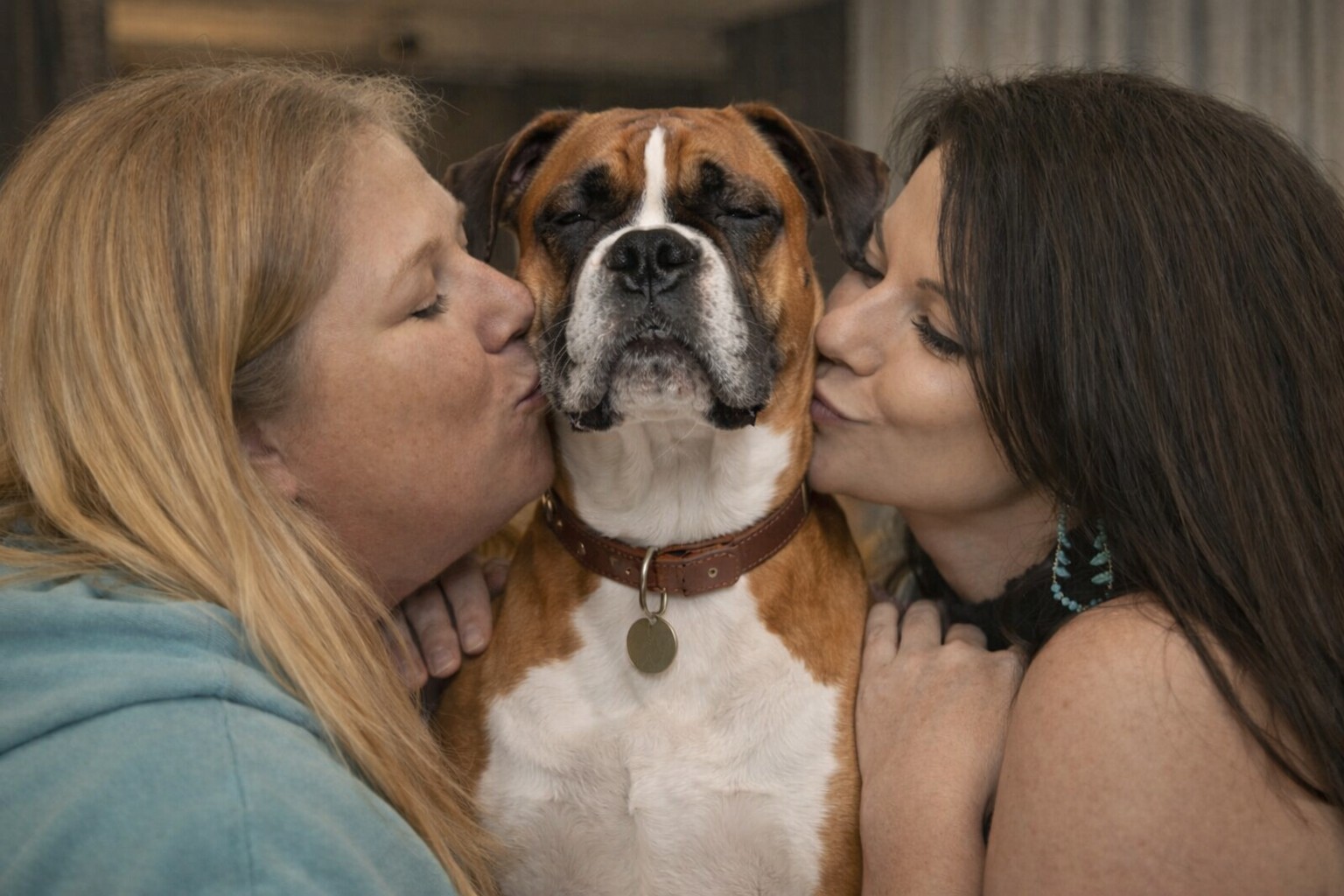 Meet Your Rescue – the OG Directors – February 2026 – Carolina Boxer Rescue
